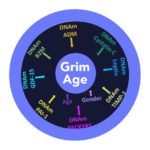 Universal Horvath Clock – Third Generation Epigenetic Biological Age ...