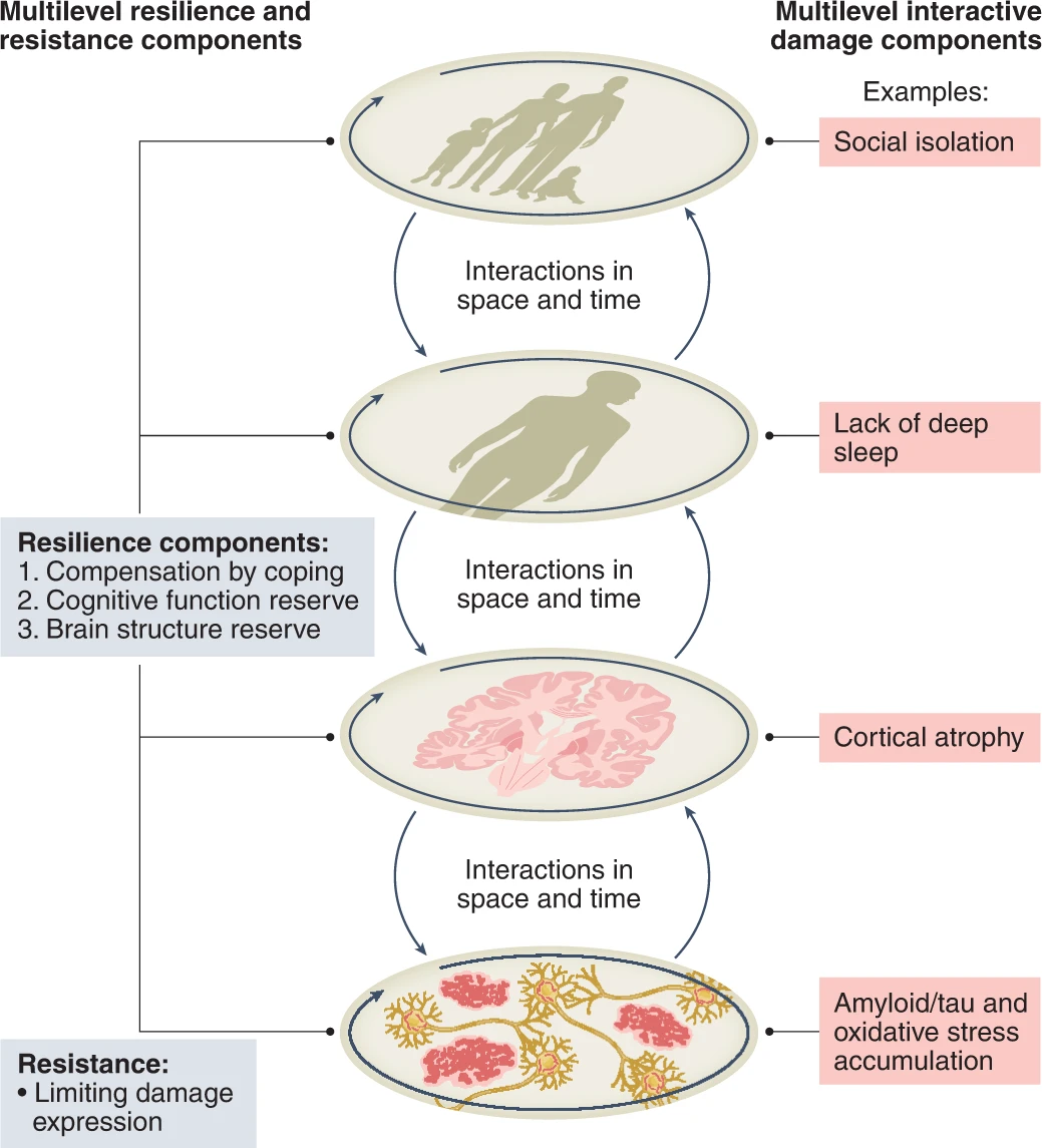 Longevity Treatment Strategies (Longevity Connect – July 2024) – My ...